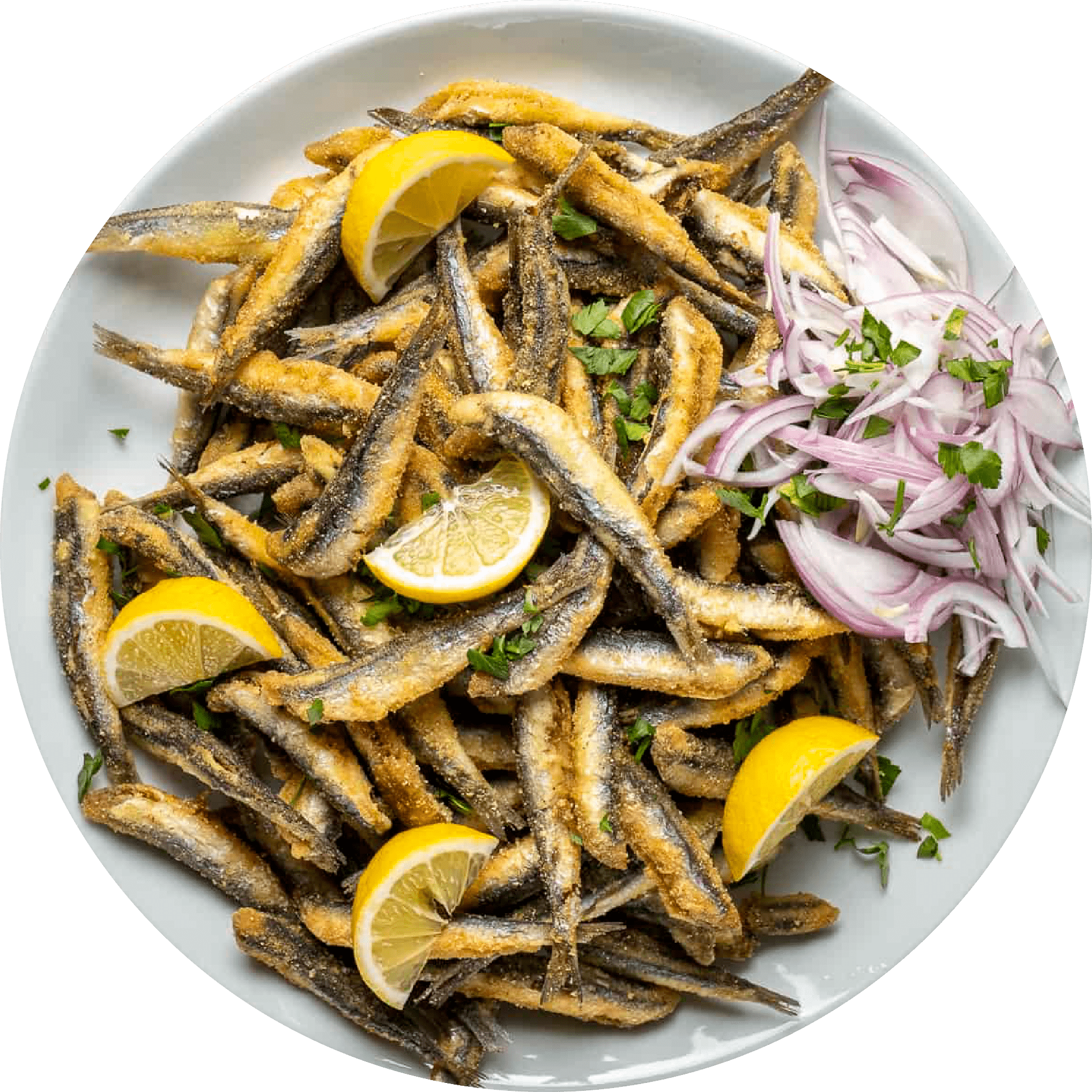 Oceanic Treasures: Dry Fish, Sea Shells & Handcrafted Creations