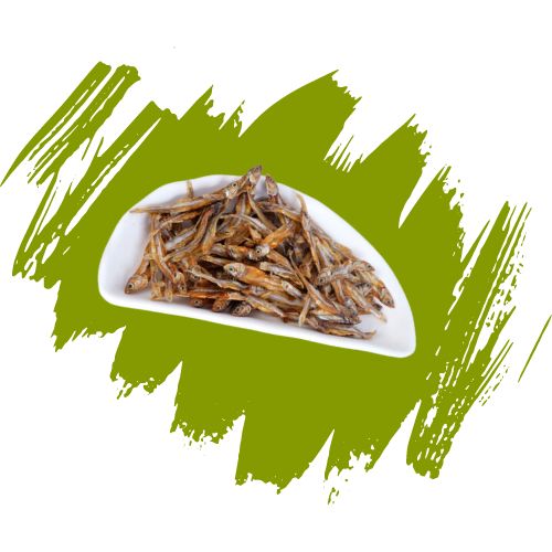 Oceanic Treasures: Dry Fish, Sea Shells & Handcrafted Creations